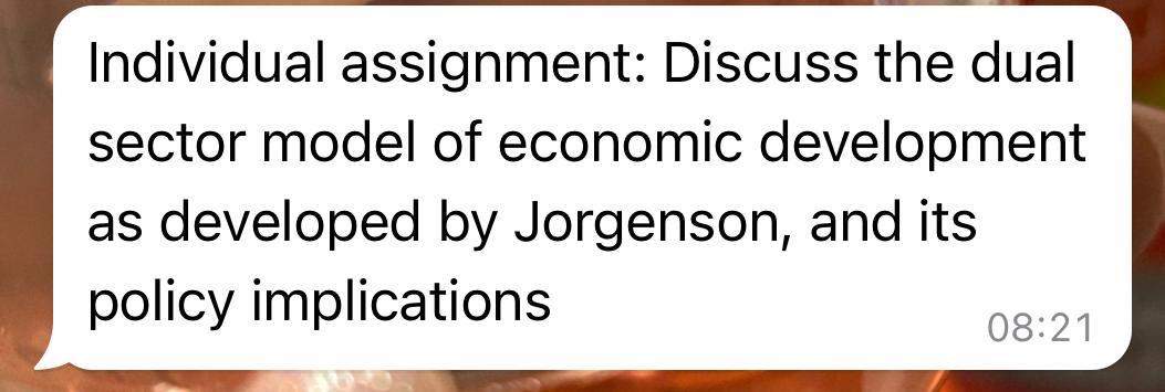 Individual assignment: Discuss the dual sector model | Chegg.com