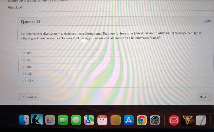 Solved Fur color in mice displays normal dominant-recessive | Chegg.com