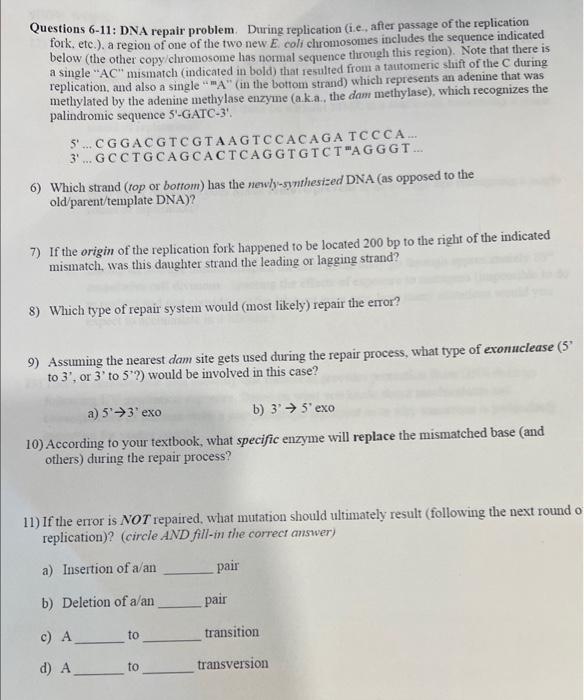 Solved Questions 6-11: DNA repair problem. During | Chegg.com