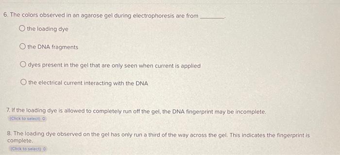 Solved 2. While loading DNA samples into the gel, one well | Chegg.com