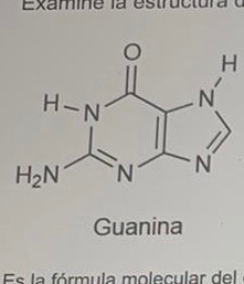 Solved Examine the guanine structure and answer the | Chegg.com