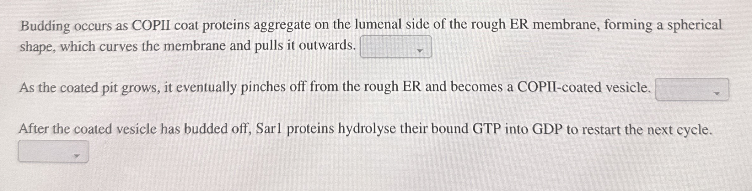 Solved Budding occurs as COPII coat proteins aggregate on | Chegg.com