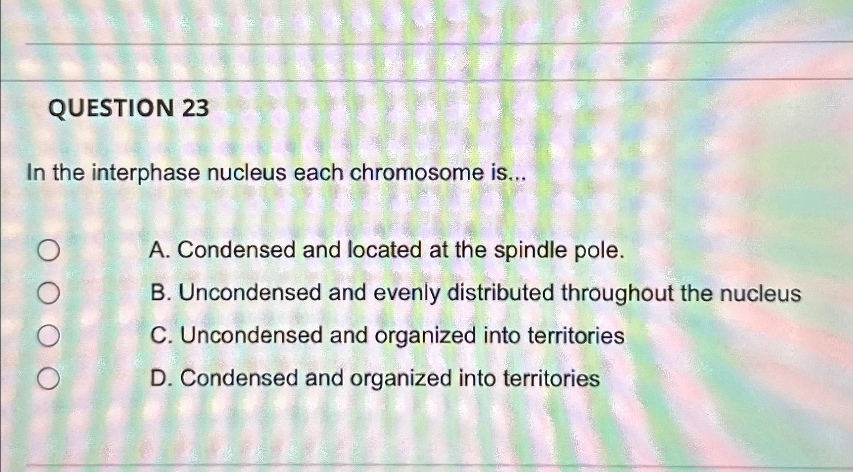 Solved QUESTION 23In the interphase nucleus each chromosome | Chegg.com