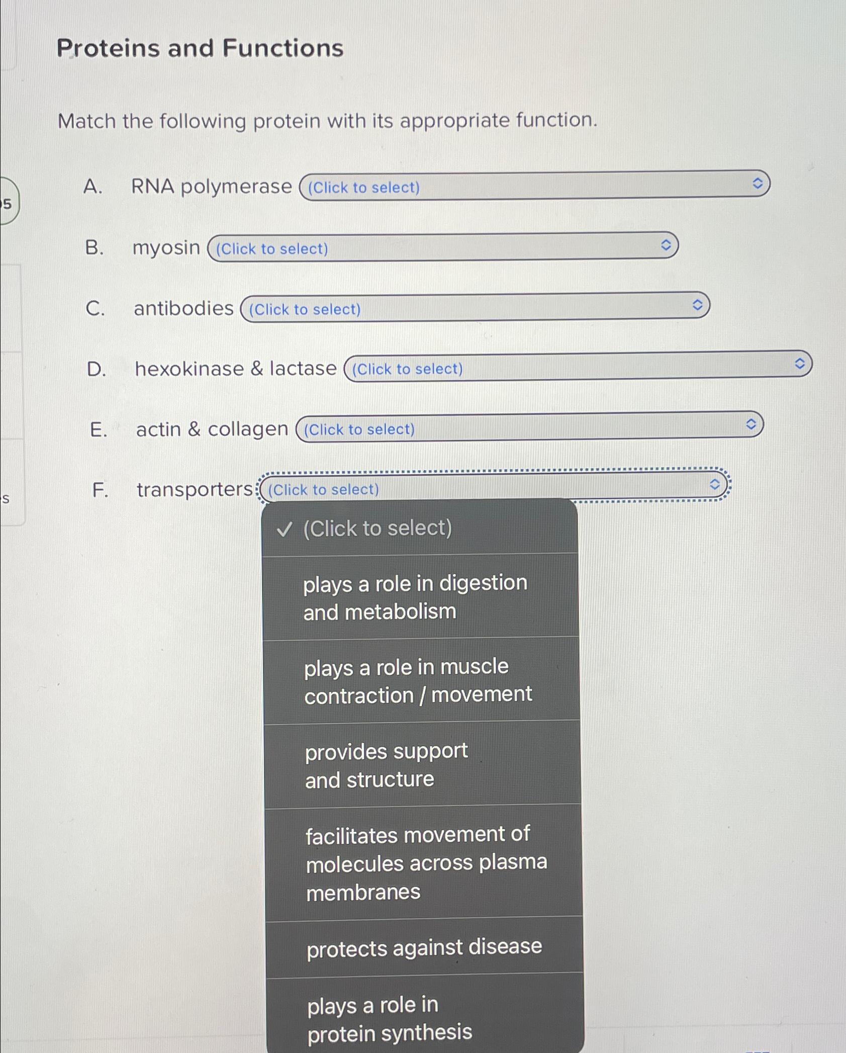 Solved Proteins and FunctionsMatch the following protein | Chegg.com