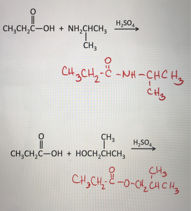 Solved CH3CH2C–OH + NH,CHCH, H2304, CH? 0 -0 cuyau, & cum - | Chegg.com