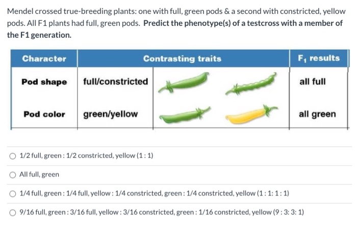 Solved Mendel crossed true-breeding plants: one with full, | Chegg.com