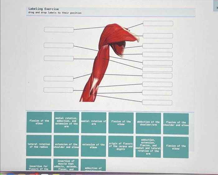 Labeling Exercise drag and drop labels to their | Chegg.com