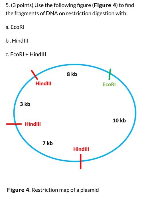 Solved 5. (3 points) Use the following figure (Figure 4) to | Chegg.com