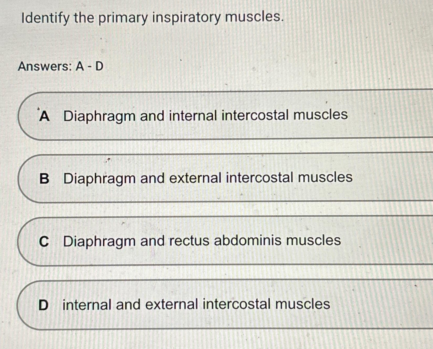Solved Identify the primary inspiratory muscles.Answers: A - | Chegg.com