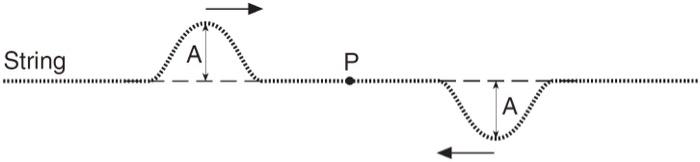 Solved Question | Chegg.com