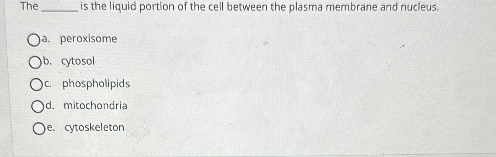 Solved The is the liquid portion of the cell between the | Chegg.com