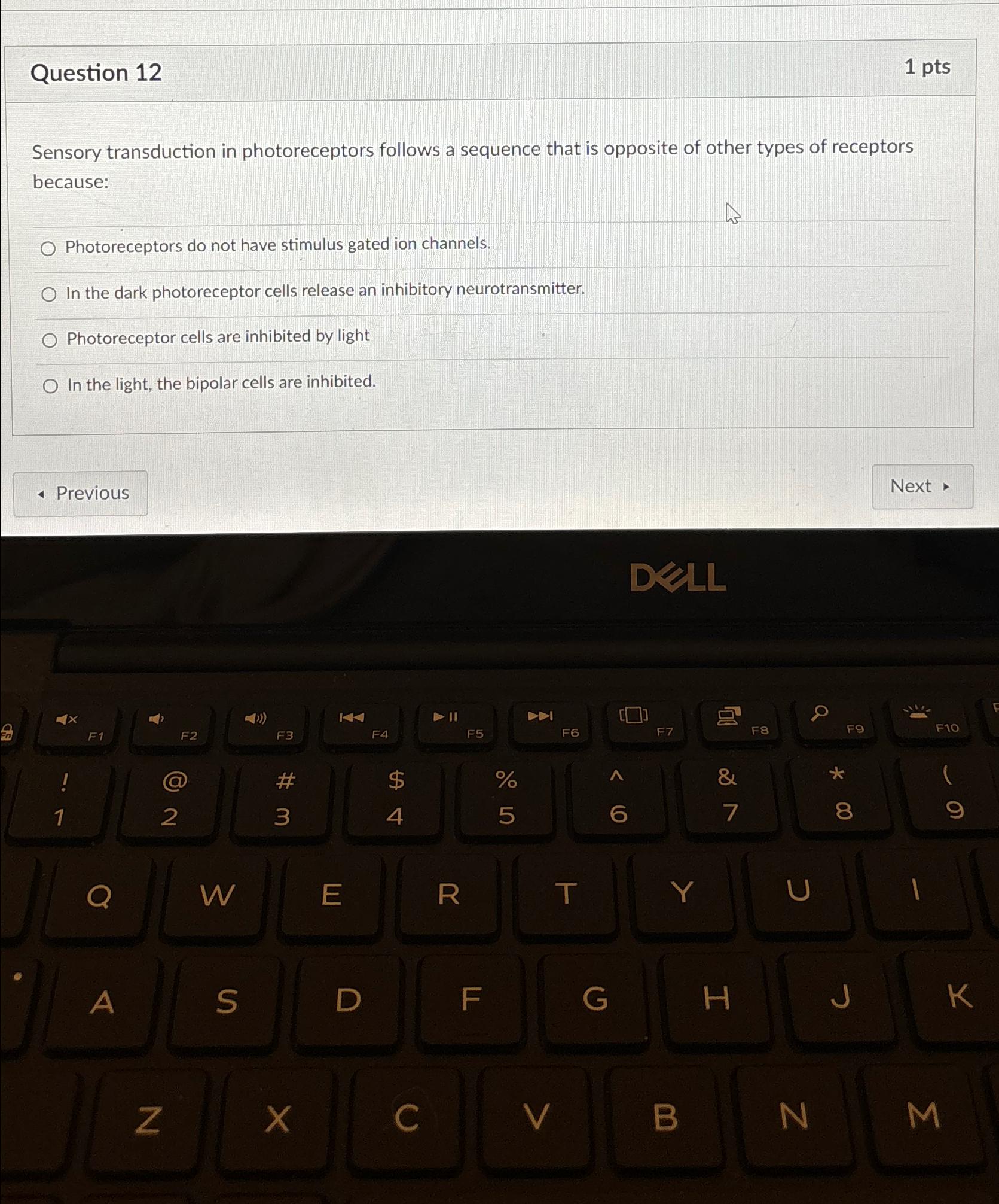 Solved Question 121 ﻿ptsSensory transduction in | Chegg.com