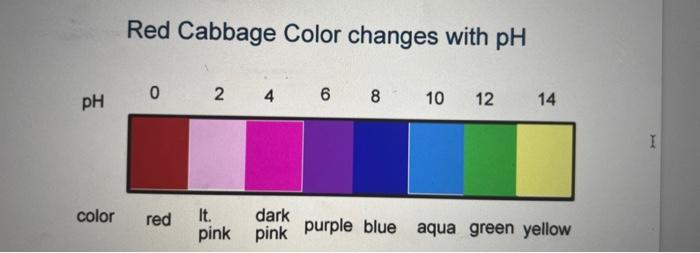 Solved Red Cabbage Color changes with pHPart 3: Testing | Chegg.com