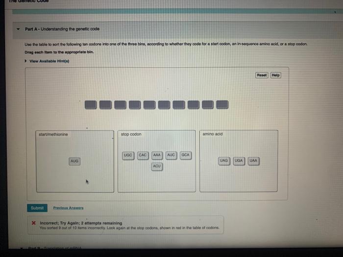 Solved CHW13 - CH 12 The Genetie Code 2 of 17 Dred to NANA), | Chegg.com