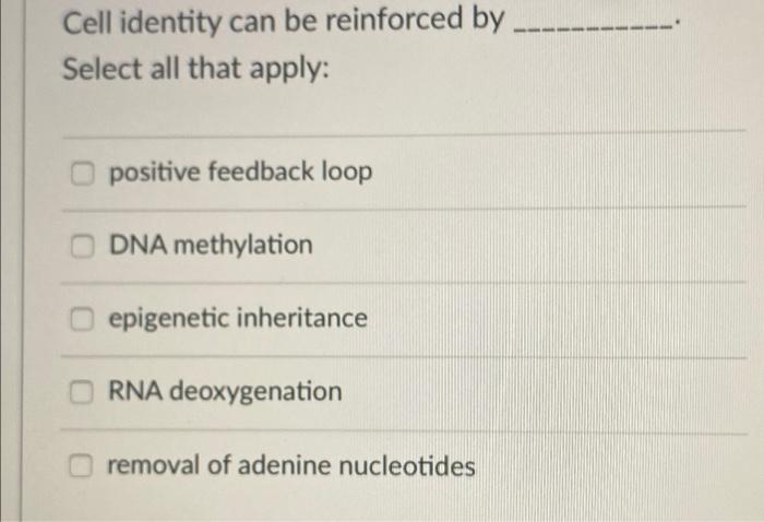 Solved Cell identity can be reinforced by Select all that | Chegg.com