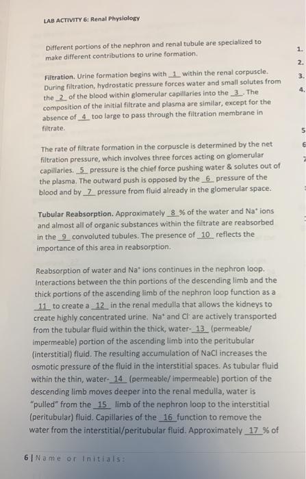 Solved LAB ACTIVITY 6: Renal Physiology 1. 2. 3 Different | Chegg.com Solved LAB ACTIVITY 6: Renal Physiology 1. 2. 3 Different | Chegg.com