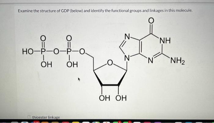 Solved Examine the structure of GDP (below) and identify the | Chegg.com