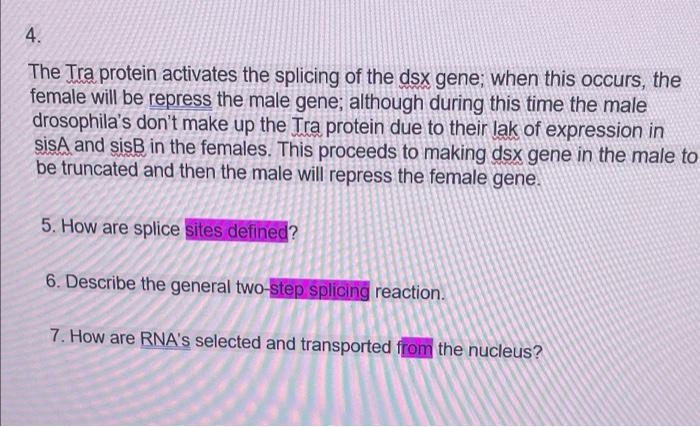 Solved 4. The Tra protein activates the splicing of the dsx | Chegg.com