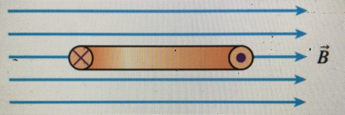 Solved If released from rest, the current loop will Move | Chegg.com
