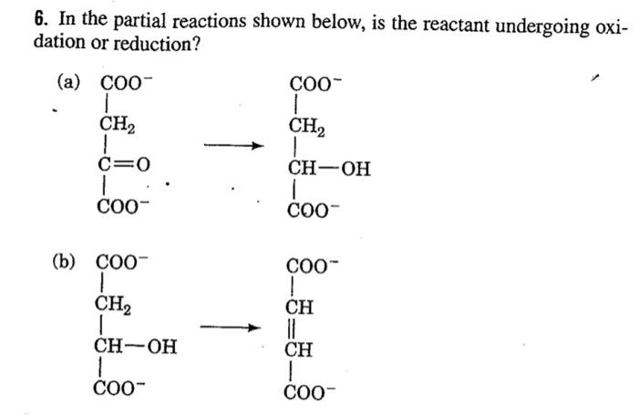 Solved 6. In the partial reactions shown below, is the | Chegg.com