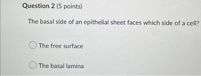 Solved Question 2 (5 points) The basal side of an epithelial | Chegg.com