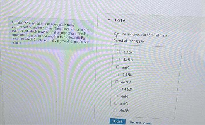 Solved Part A A male and a female mouse are, each from | Chegg.com