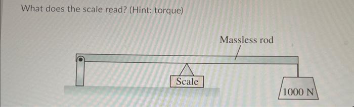 Solved What does the scale read? (Hint: torque) | Chegg.com