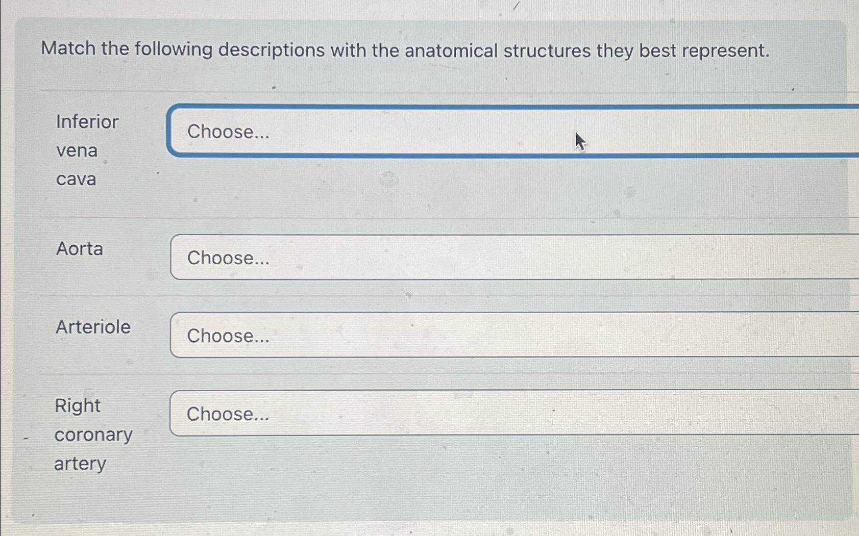Solved Match the following descriptions with the anatomical | Chegg.com