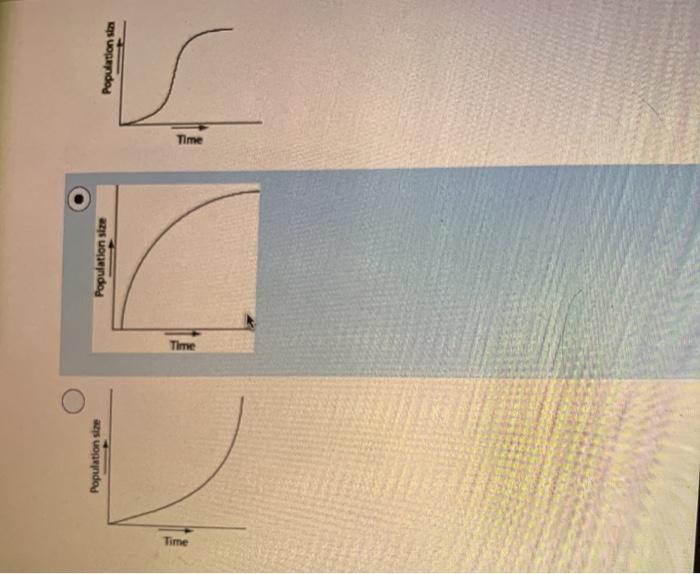 Solved Which of the following graphs best illustrates the | Chegg.com