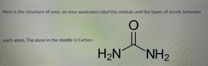 Solved Here is the structure of urea, on your worksheet | Chegg.com