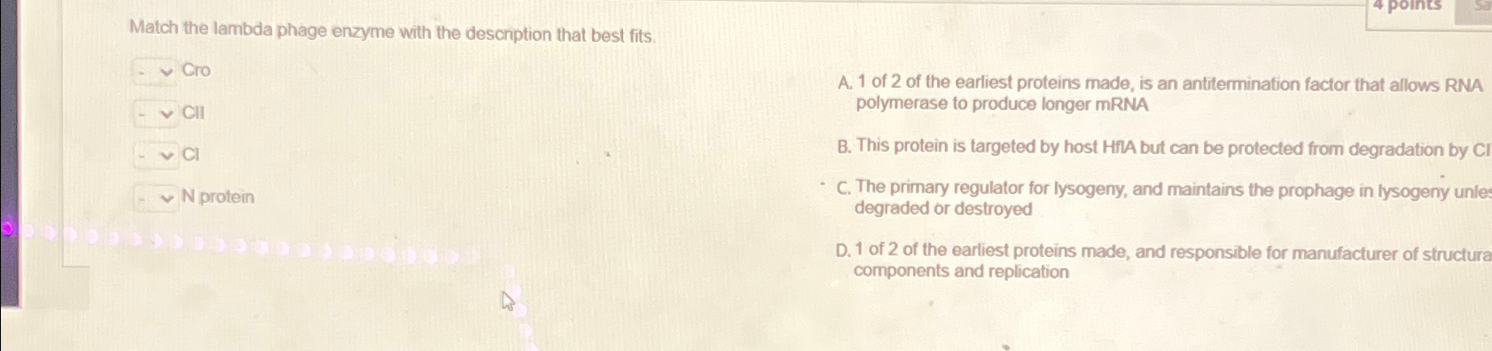 Solved Match the lambda phage enzyme with the description | Chegg.com