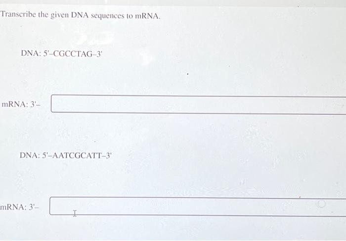 Solved Transcribe the given DNA sequences to mRNA. DNA: | Chegg.com