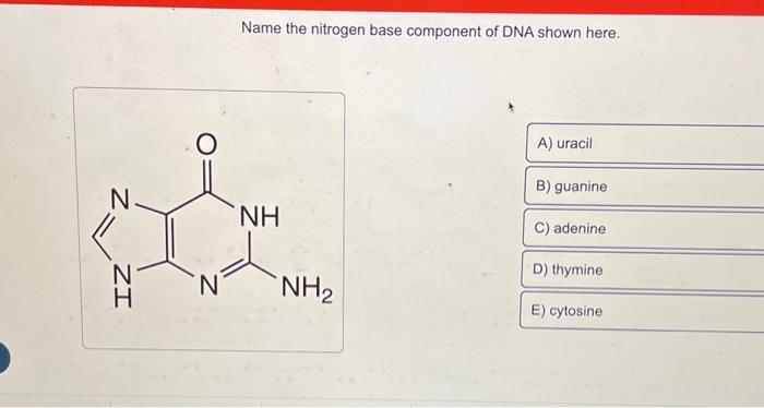 Solved Name the nitrogen base component of DNA shown here. | Chegg.com