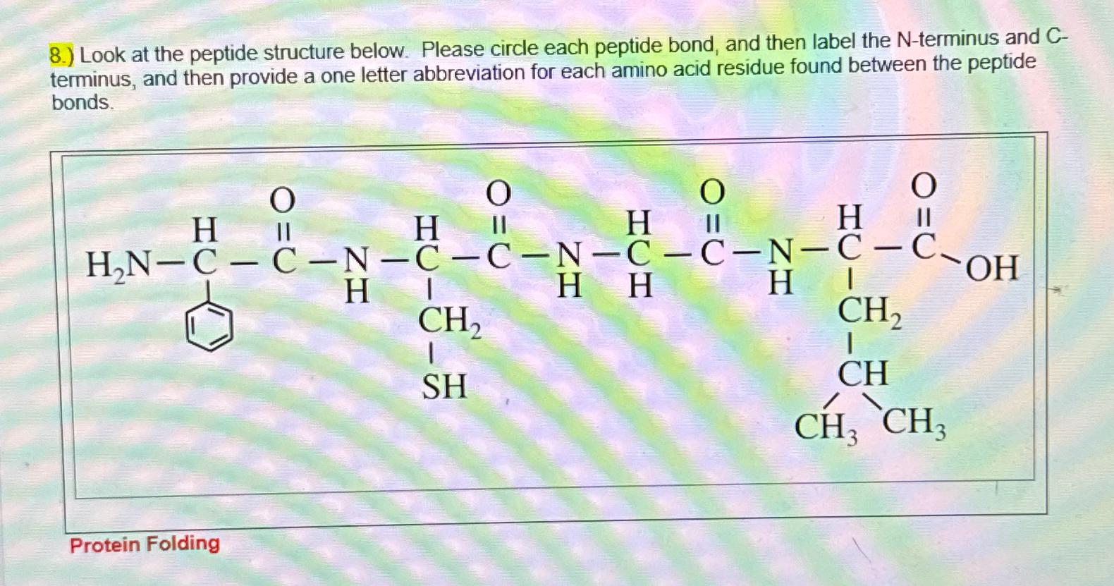 Solved 8.) ﻿Look at the peptide structure below. Please | Chegg.com