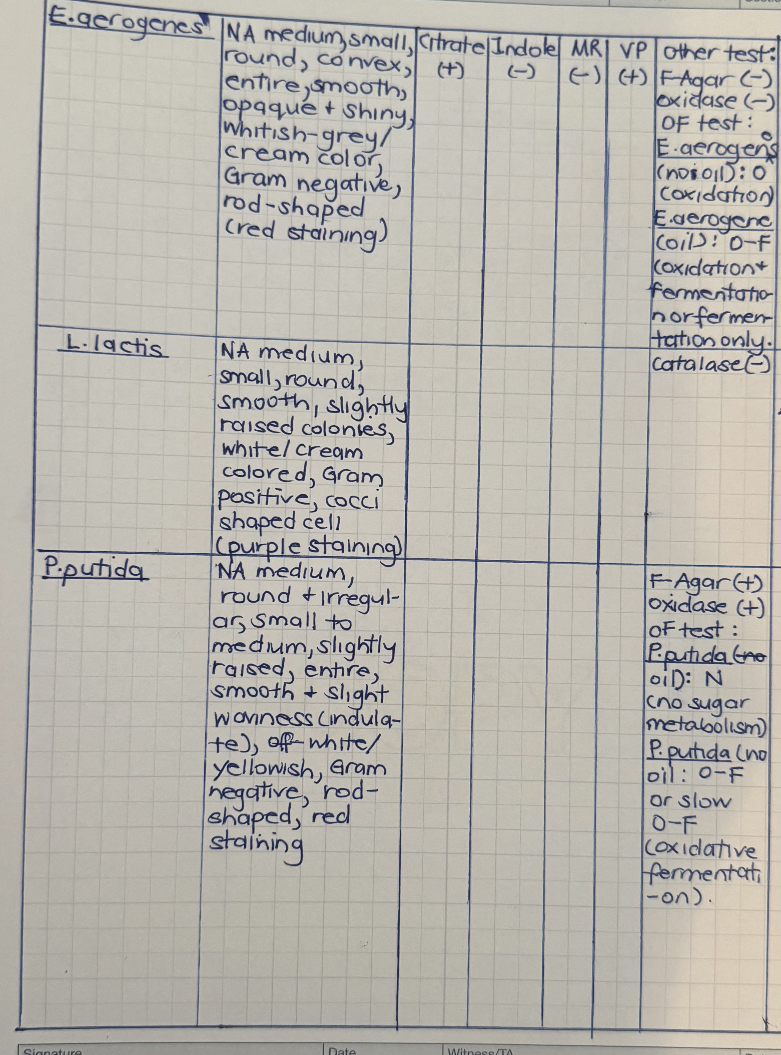 create a dichotomous key using the data provided. ( | Chegg.com