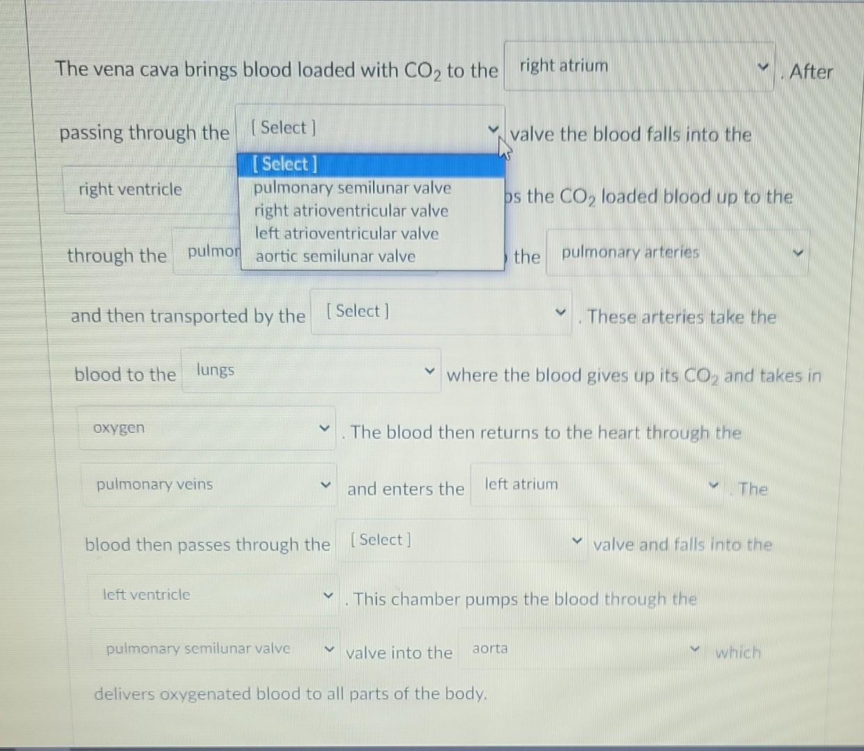 Solved The vena cava brings blood loaded with CO2 to the | Chegg.com