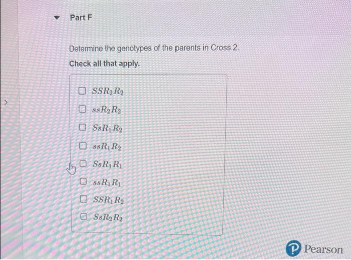 The coat color in mink is controlled by two | Chegg.com