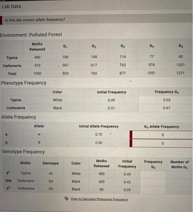 Lab Data Is this the correct allele frequency? | Chegg.com