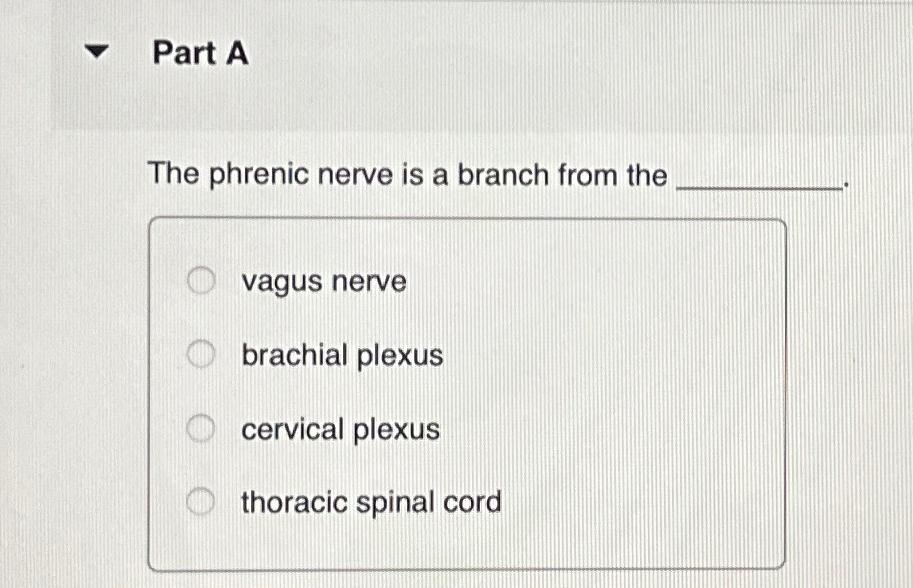 Solved Part AThe phrenic nerve is a branch from thevagus | Chegg.com