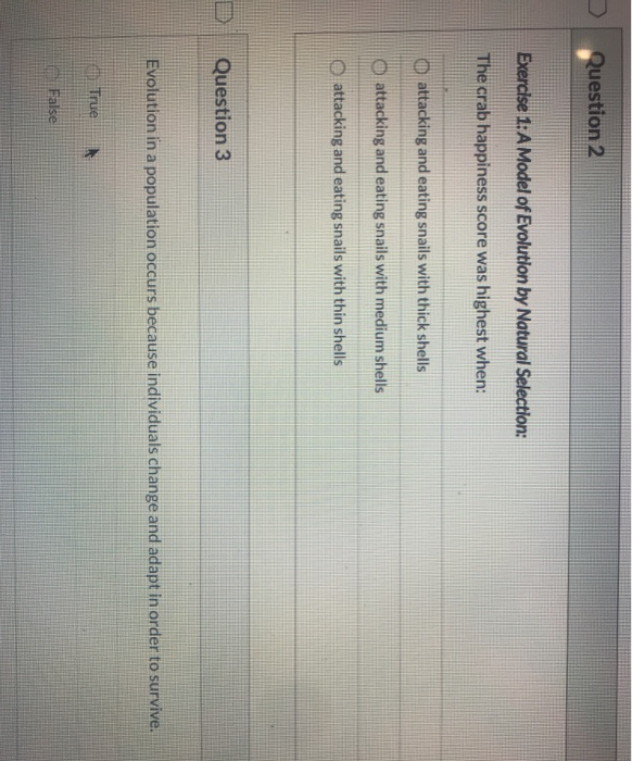 Solved Question 2 Exercise 1: A Model of Evolution by | Chegg.com