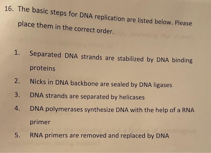Solved 16. The basic steps for DNA replication are listed | Chegg.com