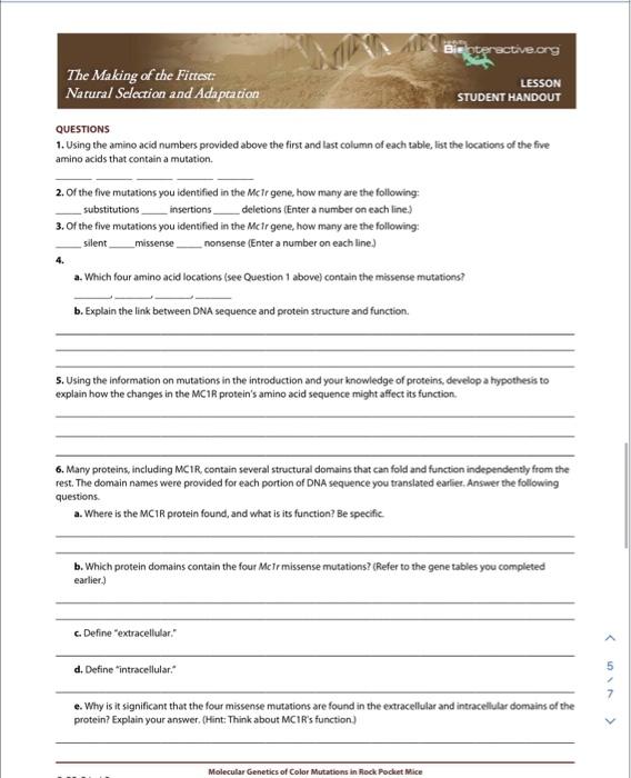 MOLECULAR GENETICS OF COLOR MUTATIONS IN ROCK POCKET | Chegg.com