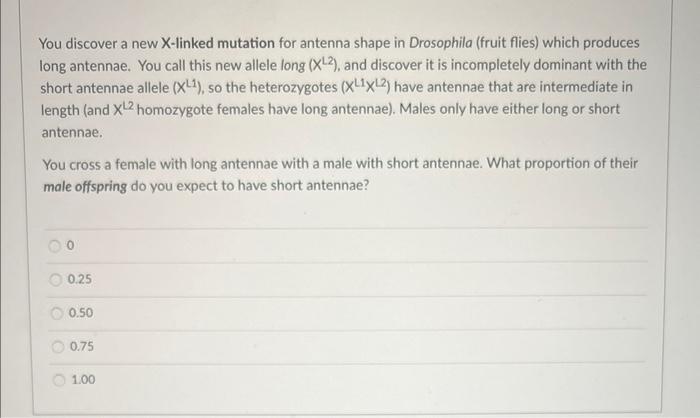 Solved You Discover A New X Linked Mutation For Antenna