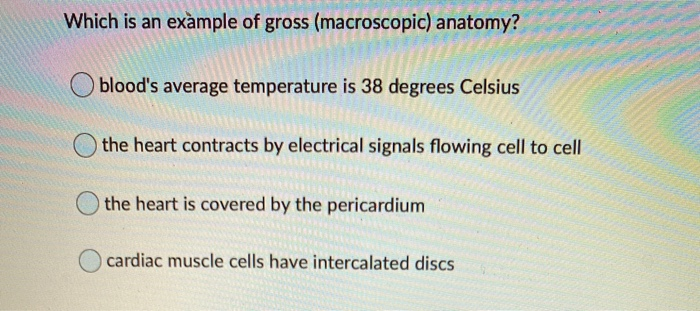 Solved Which is an example of gross (macroscopic) anatomy? | Chegg.com