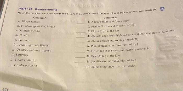 Solved PART B: Assessments Match the muscies in column A | Chegg.com