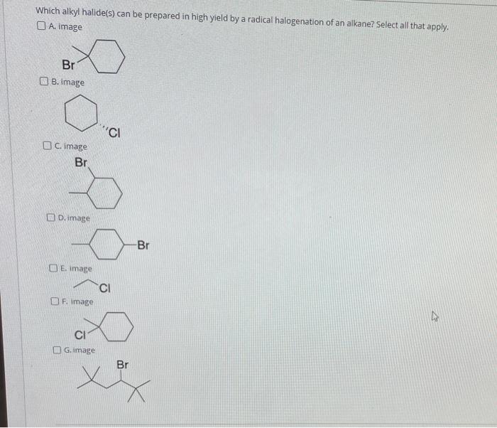Solved Which alkyl halide(s) can be prepared in high yield | Chegg.com