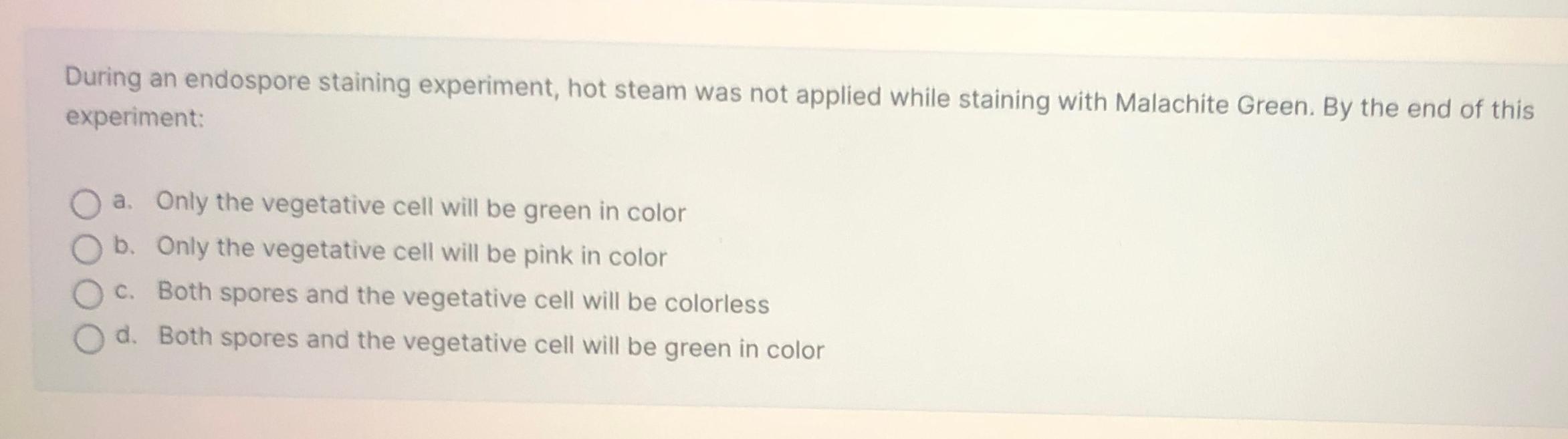 Solved During an endospore staining experiment, hot steam | Chegg.com