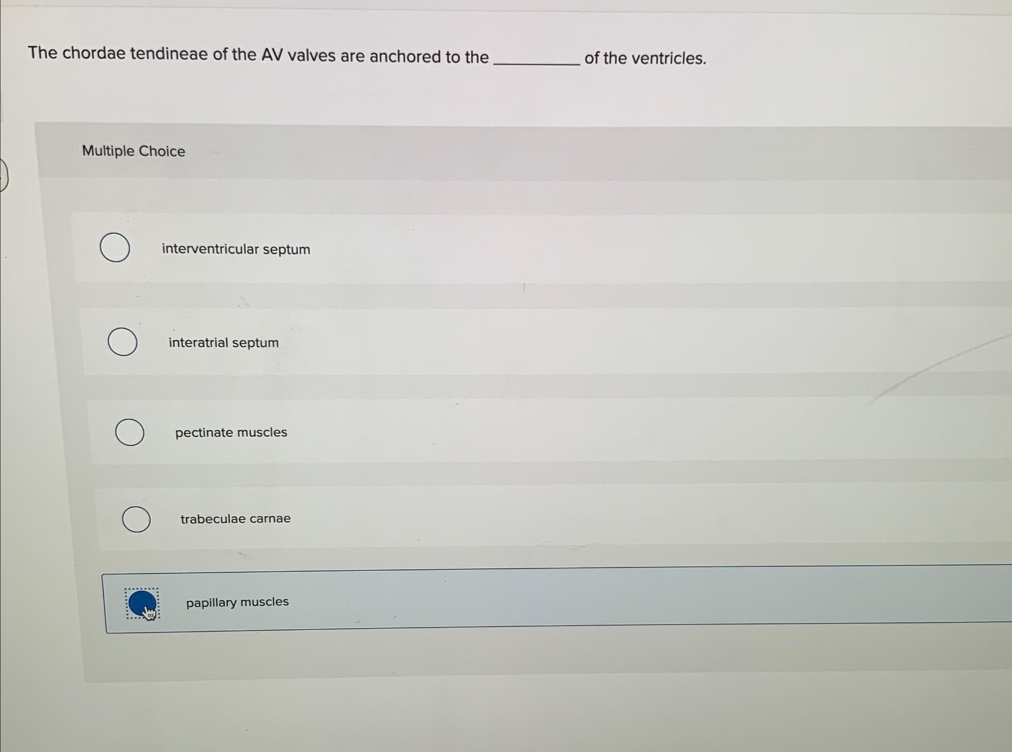 Solved The chordae tendineae of the AV valves are anchored | Chegg.com