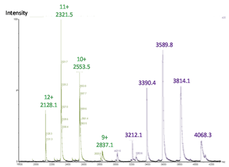 Solved 2.Figure below shows a mass spectrum of protein A | Chegg.com