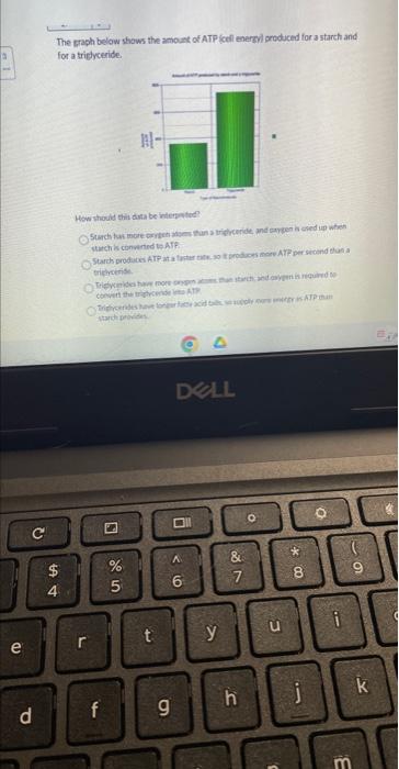 Solved The image below shows a type of macromolecule. Which | Chegg.com